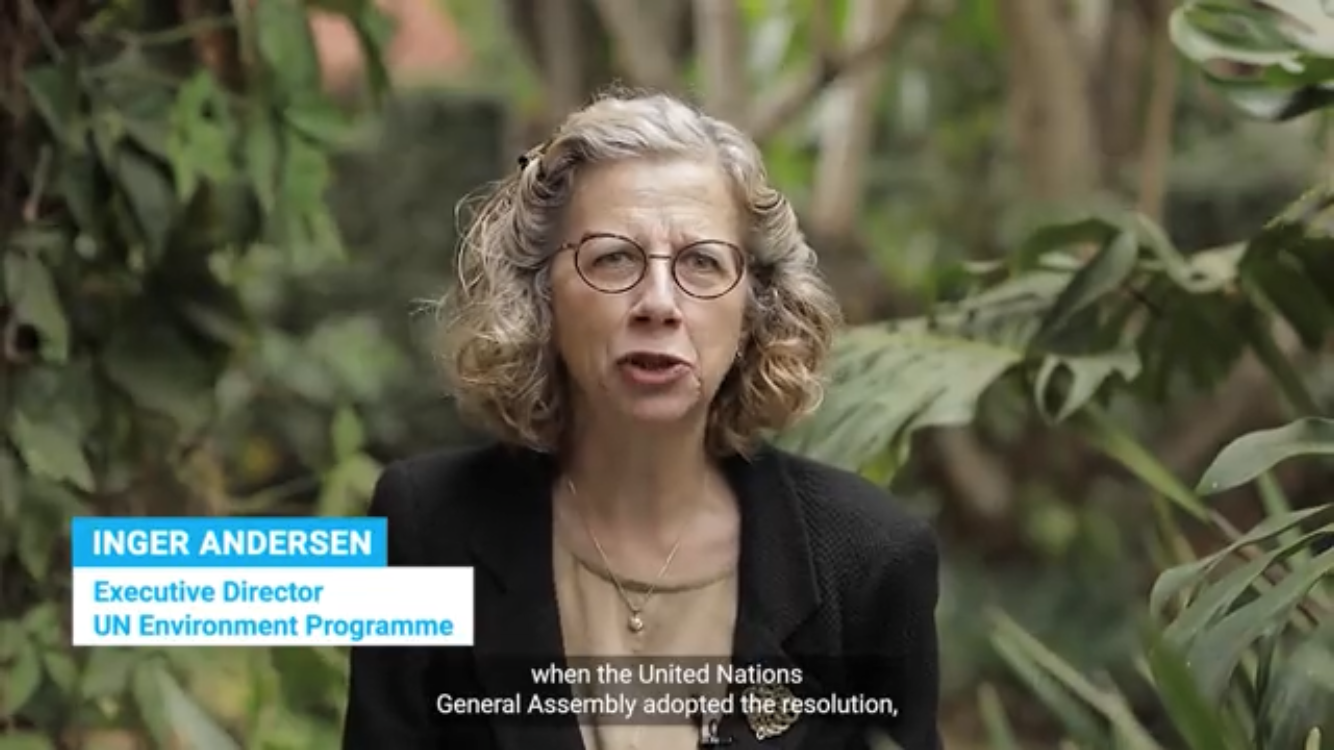 Inger Andersen – pv magazine Brasil